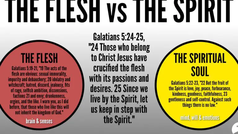 The Spiritual Significance of Flesh in the Bible - John Baptist Church