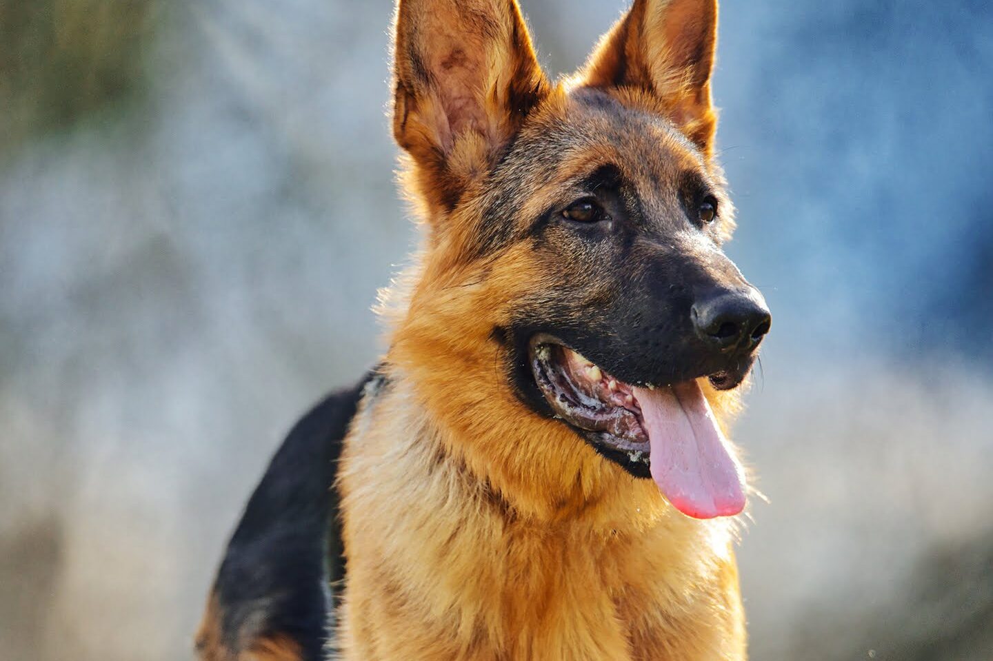 The Divine Significance of the Biblical Cup: Unveiling its Symbolism ...