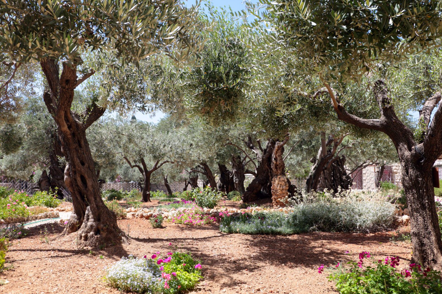The Divine Significance of Bliss: Exploring the Biblical Meaning - John ...