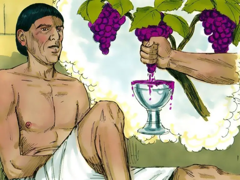 The Significance of First Fruits in the Bible: Unveiling its Biblical ...