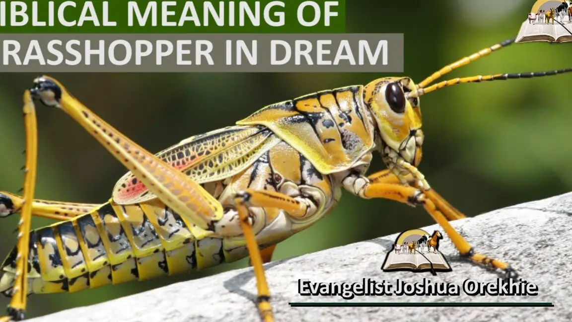 The Spiritual Significance of Fog: Unveiling the Biblical Meaning - John Baptist Church