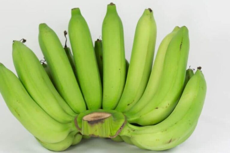 The Biblical Significance of a Green Banana in a Dream - John Baptist ...