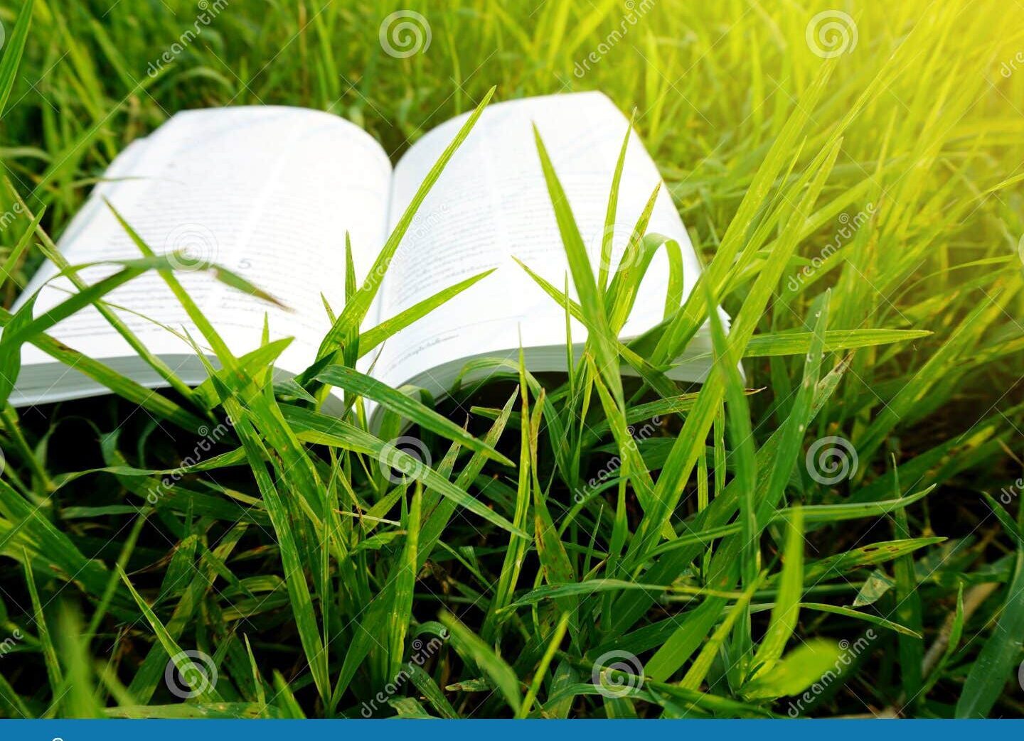 The Spiritual Significance of Green Grass in the Bible - John Baptist ...