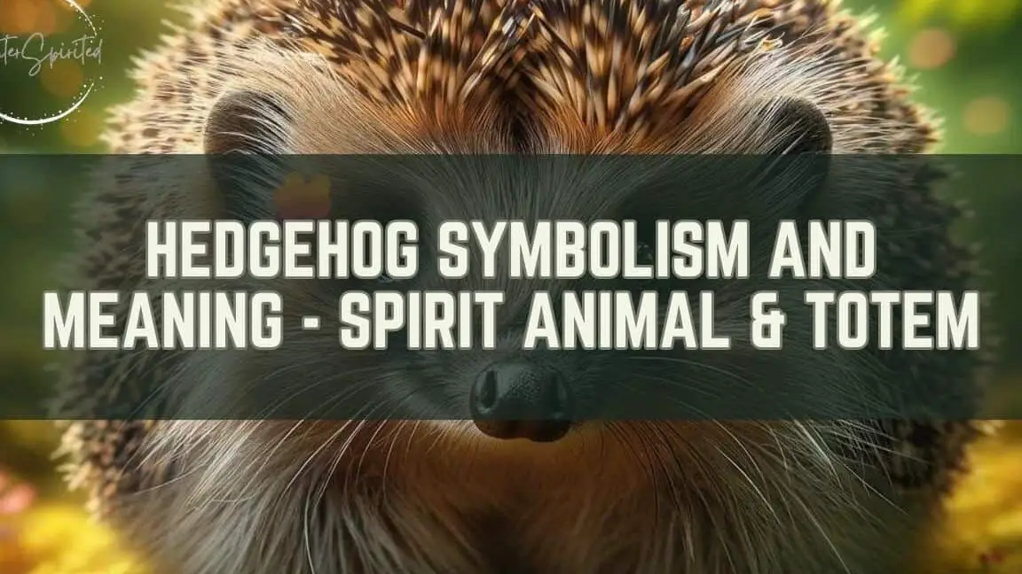 The Biblical Meaning of Behold: Uncovering the Sacred Significance ...