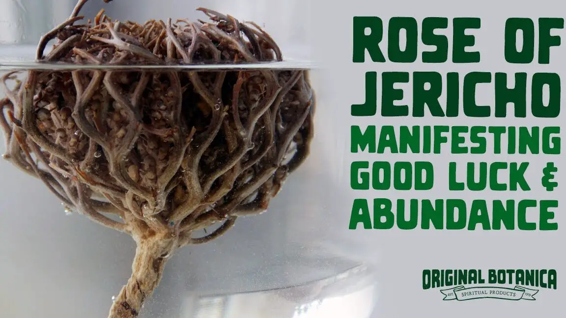 The Biblical Significance of Jericho: Unveiling Its Spiritual Meaning - John Baptist Church