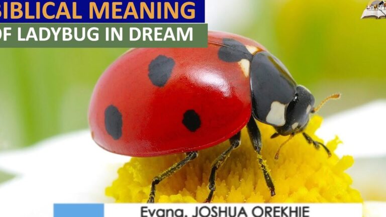 The Symbolic Significance of Ladybugs in the Bible - John Baptist Church