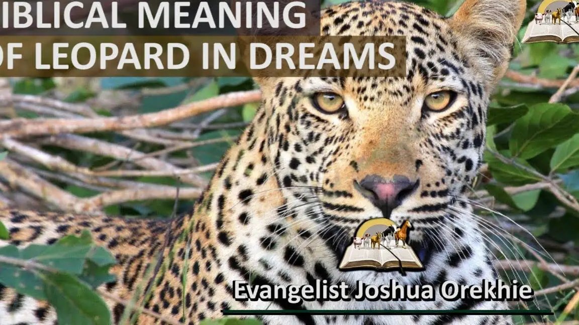 The Divine Geometry: Unveiling the Biblical Meaning of Triangle - John ...