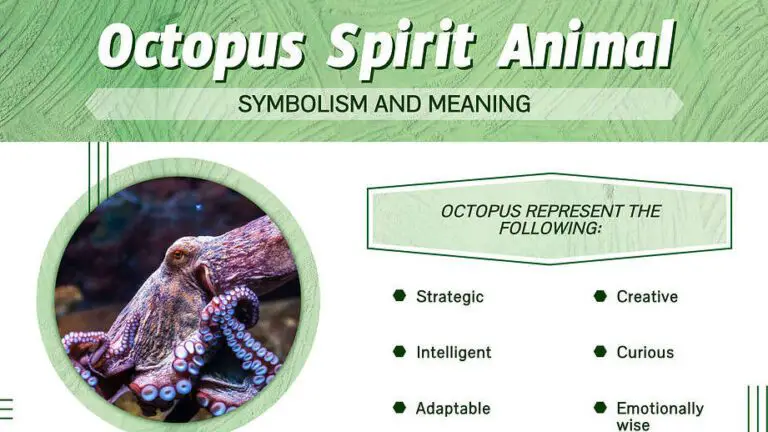 The Spiritual Significance of Octopus in Dreams: Unveiling the Biblical ...