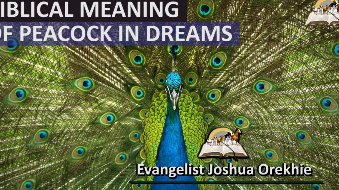 The Spiritual Significance of Peacocks in Dreams: Unveiling the ...