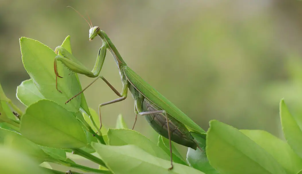 The Spiritual Significance of the Watchman in the Bible - John Baptist ...