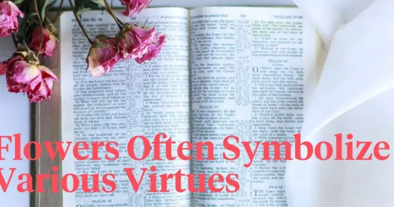 The Spiritual Symbolism of Roses in the Bible - John Baptist Church