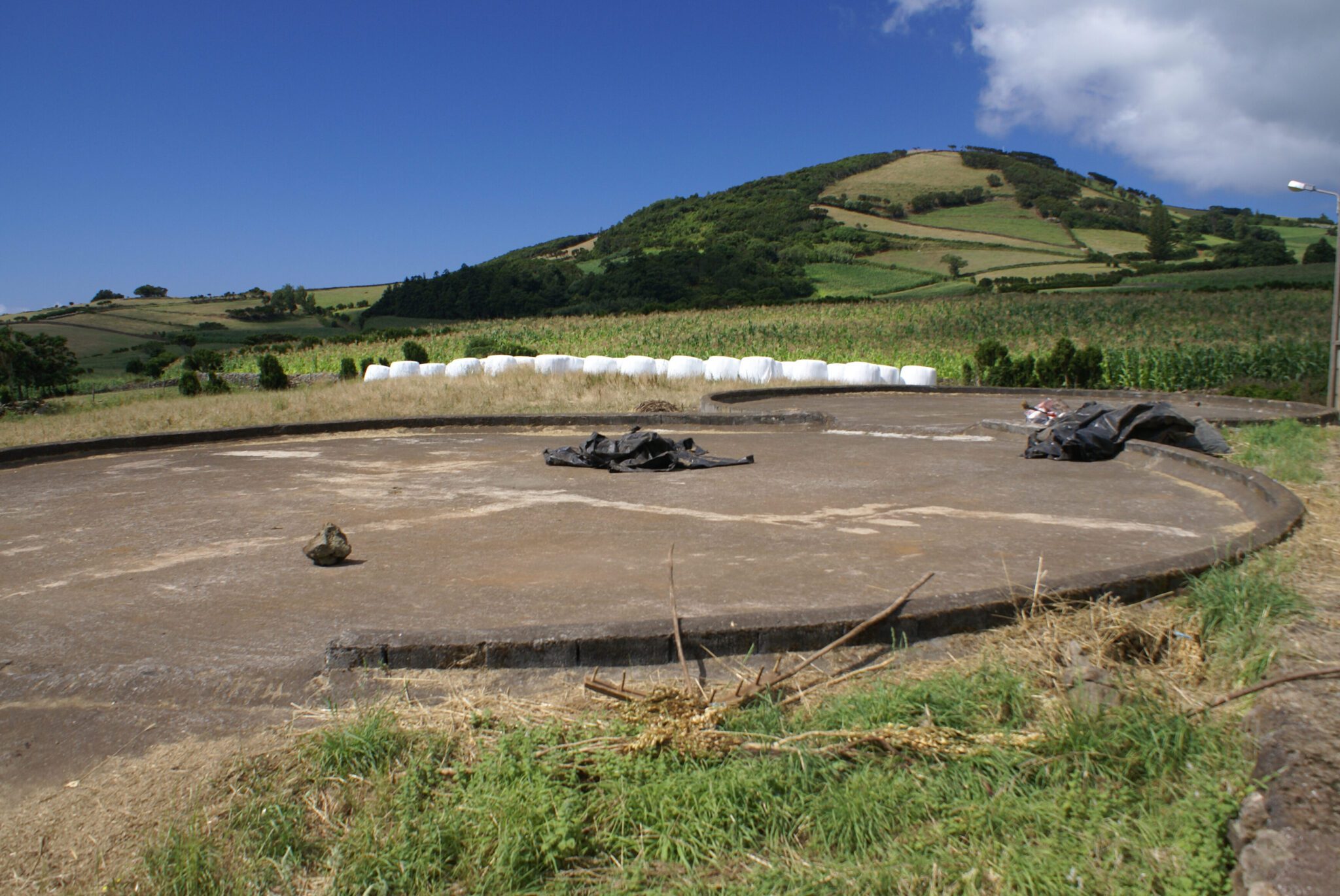 Biblical Insights: Understanding the Significance of the Threshing ...