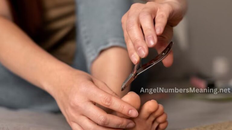 Concepts - John Baptist Church