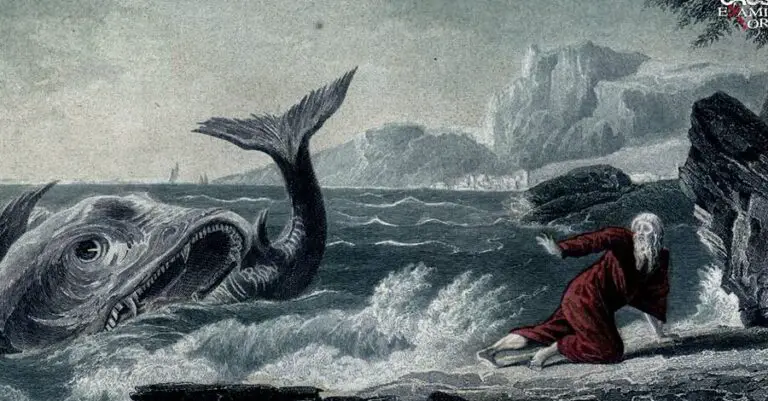 The Symbolic Significance of Whales in the Bible - John Baptist Church