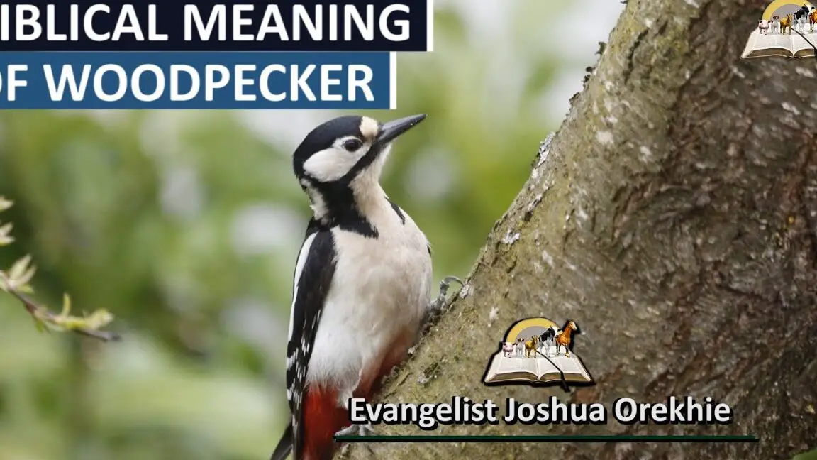 The Biblical Significance of the Calabash: Unveiling Its Spiritual ...